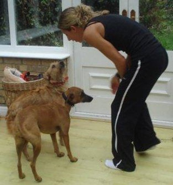 Lisanne Rice is fundraising for RSPCA North West London and South ...