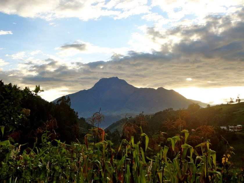 Antonia David is fundraising for Action Change