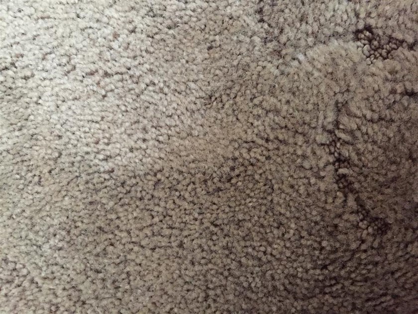 Layla Griffin is fundraising for Swansea Children's Therapy Centre