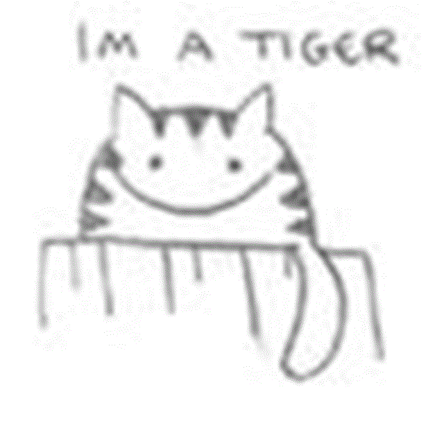 Susan Critchley is fundraising for Cancer Research UK