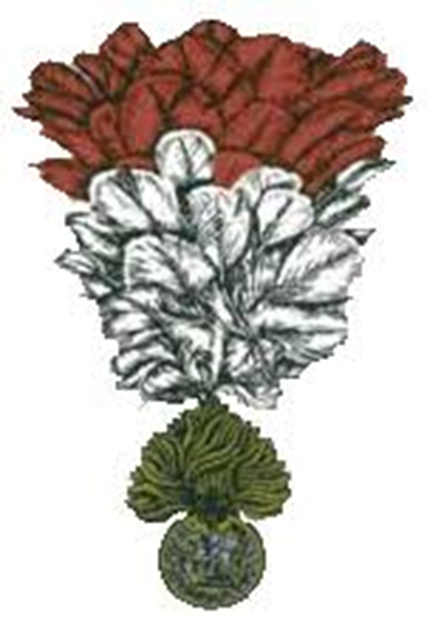 Kevin pumphrey is fundraising for Fusiliers Aid Society