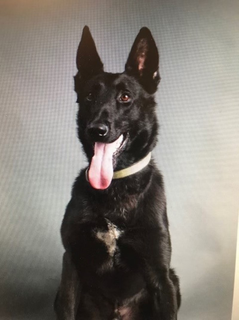 Alec Porter is fundraising for The Granite State Children's Alliance