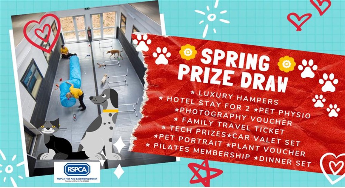 RSPCA Hull & East Riding is fundraising for RSPCA Hull And East Riding