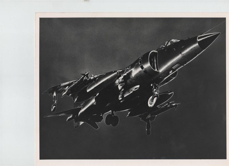 Graham Howlett is fundraising for Hounds for Heroes