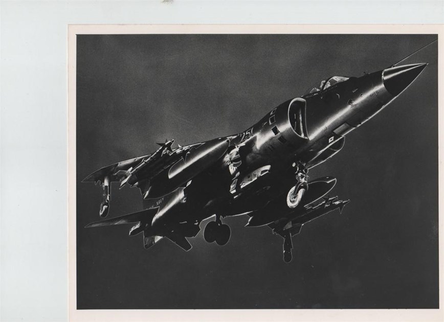 Graham Howlett is fundraising for Hounds for Heroes