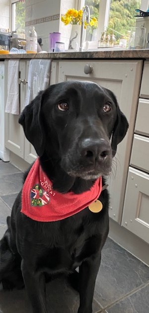 Amanda Deakin is fundraising for Care After Combat