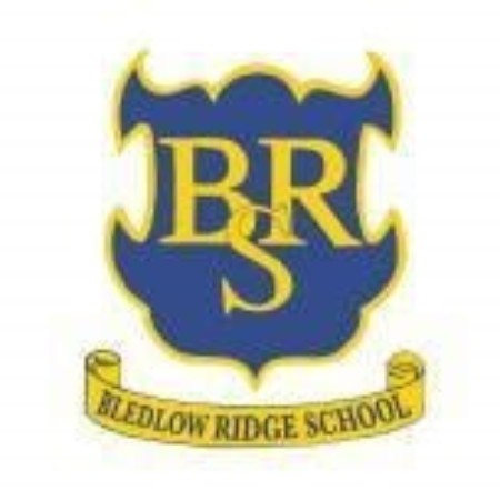 Bledlow Ridge School is fundraising for Brain Tumour Research