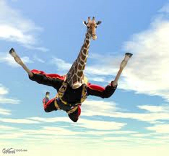 Paul Howley is fundraising for Orchid Cancer