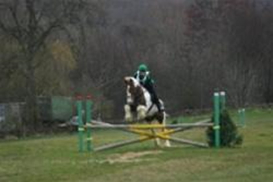 Claire Mellor is fundraising for The British Horse Society