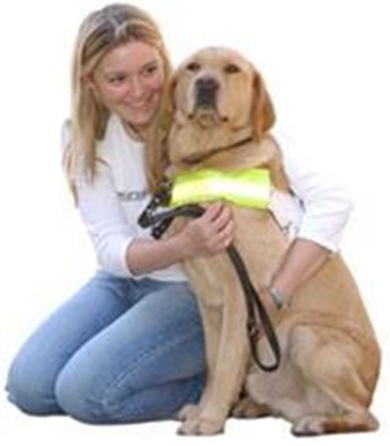 Alan Unsworth is fundraising for Guide Dogs