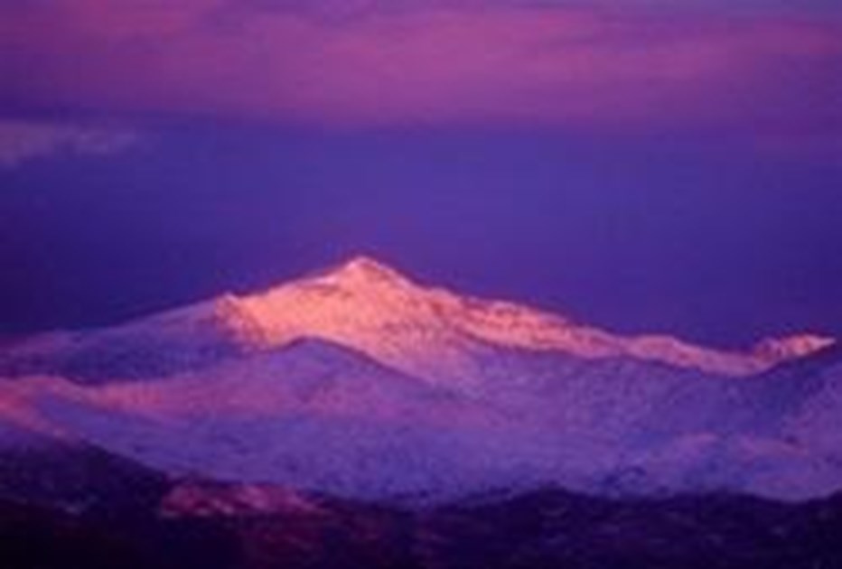 Nik Patel is fundraising for Trinity Centre