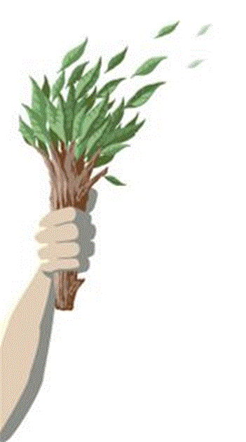 Nathan Munn is fundraising for Trees for Cities