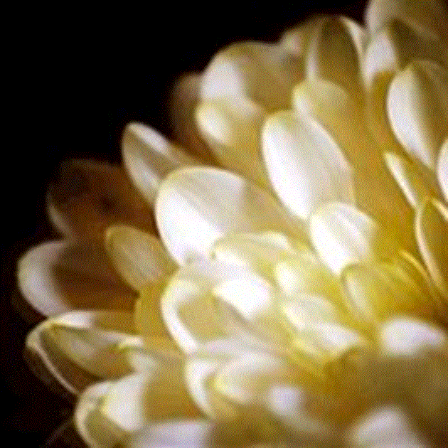 Mandy & Luke Allport is fundraising for NSPCC